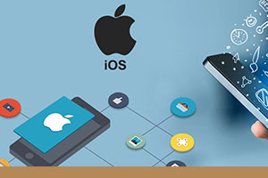 TrackCategories - ITIAcademy